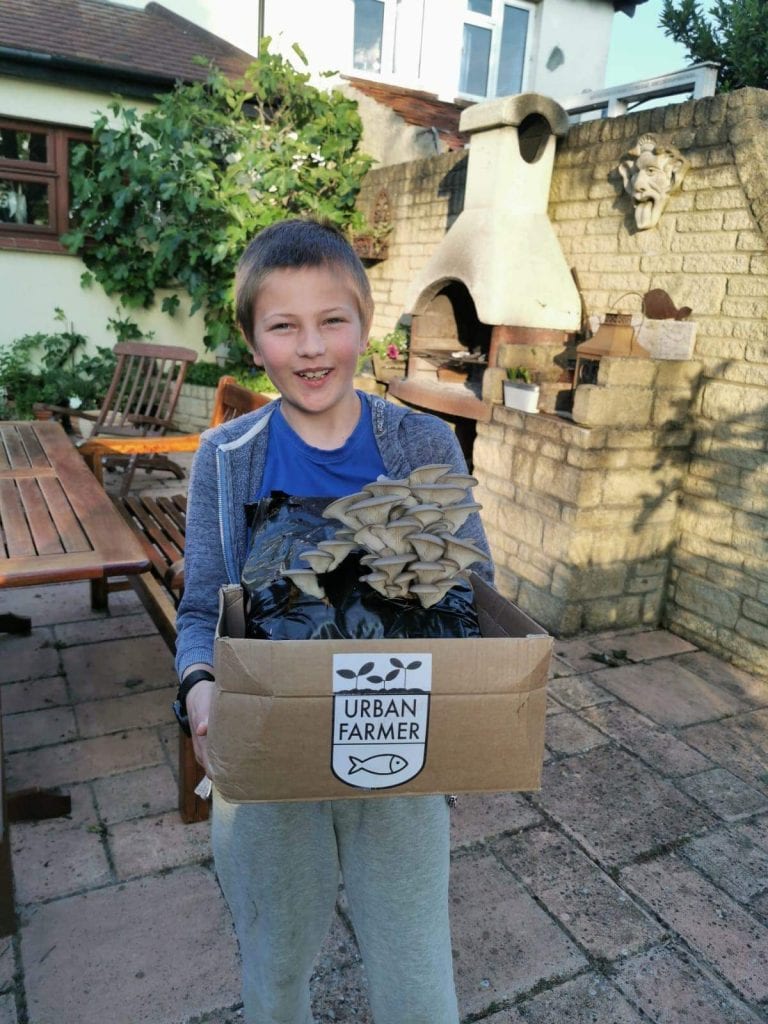 New premises for Urban Farm-It - George Wilson Holdings